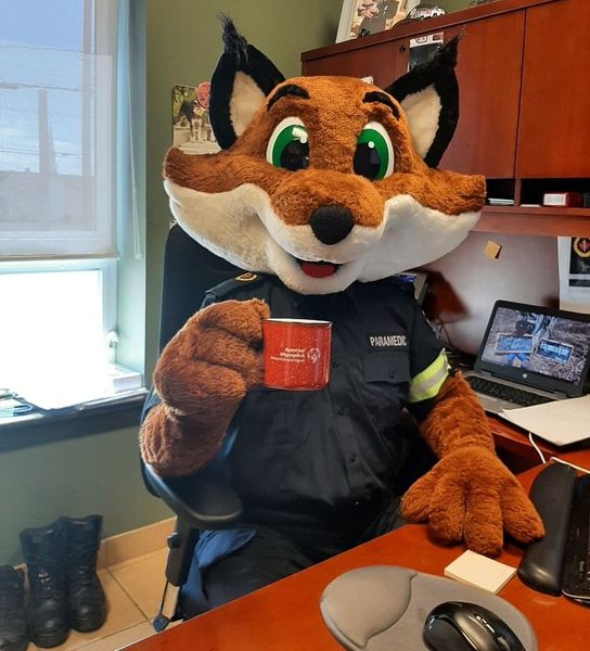 IEMS Management Team – Island EMS